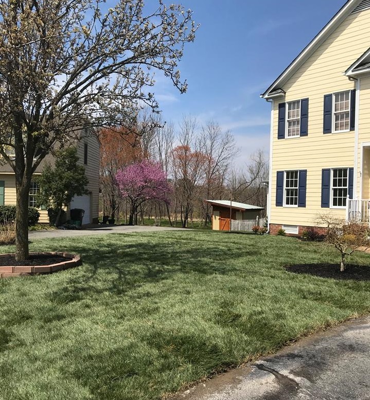 Mission accomplished for this specific Lawn/Landscape project